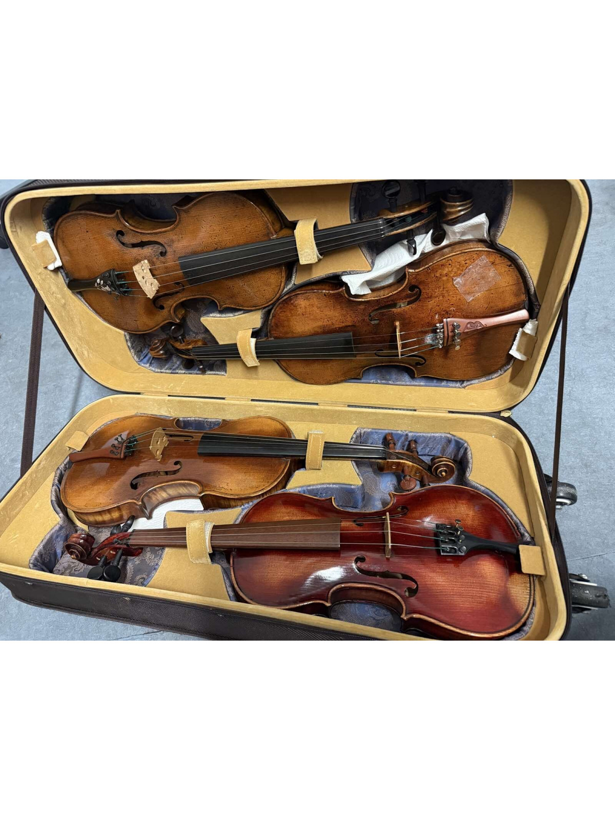 Petel.bg - новини - Задържаха недекларирани цигулки и принадлежности за тях на Летище София